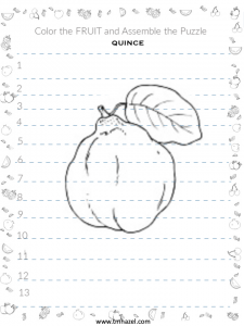 FRUITS and VEGETABLES ACTIVITIES – MEGA BUNDLE, 310 PAGES – CREATIVE ...